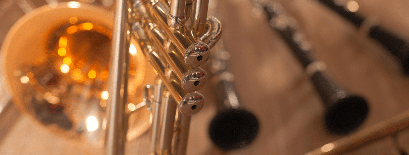 Comment fonctionnent les instruments à vent : guide complet - Unizic